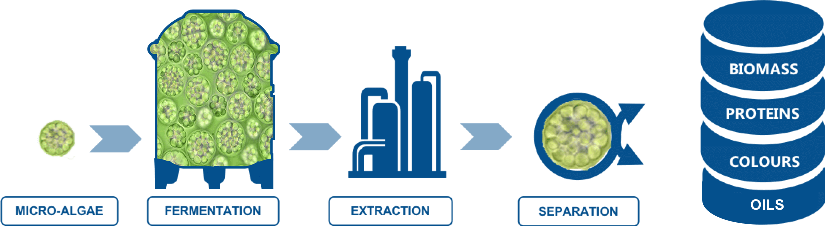 Our processes - Fermentalg - Algae you can trust